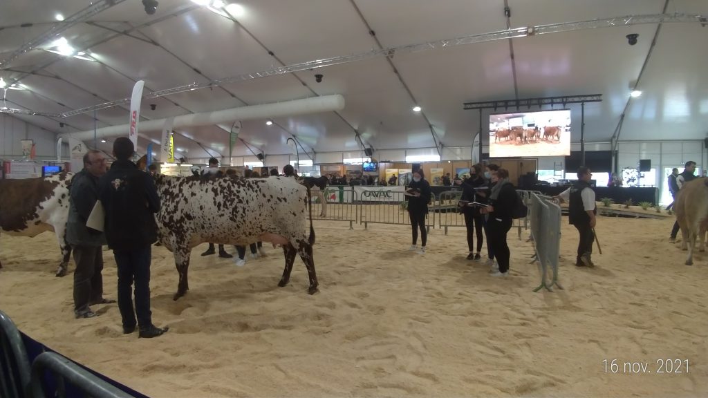 Tech élevage, édition 2021 - Blog Lycée Établières